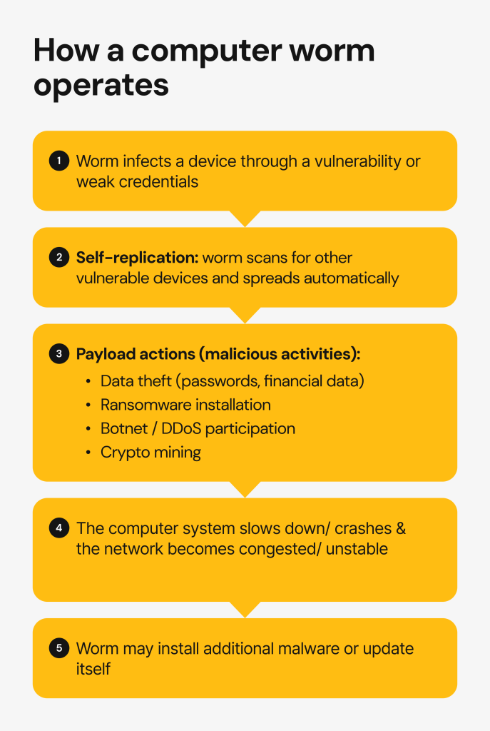 What Is A Worm Virus? How It Works, Real Attacks, And Prevention Tips